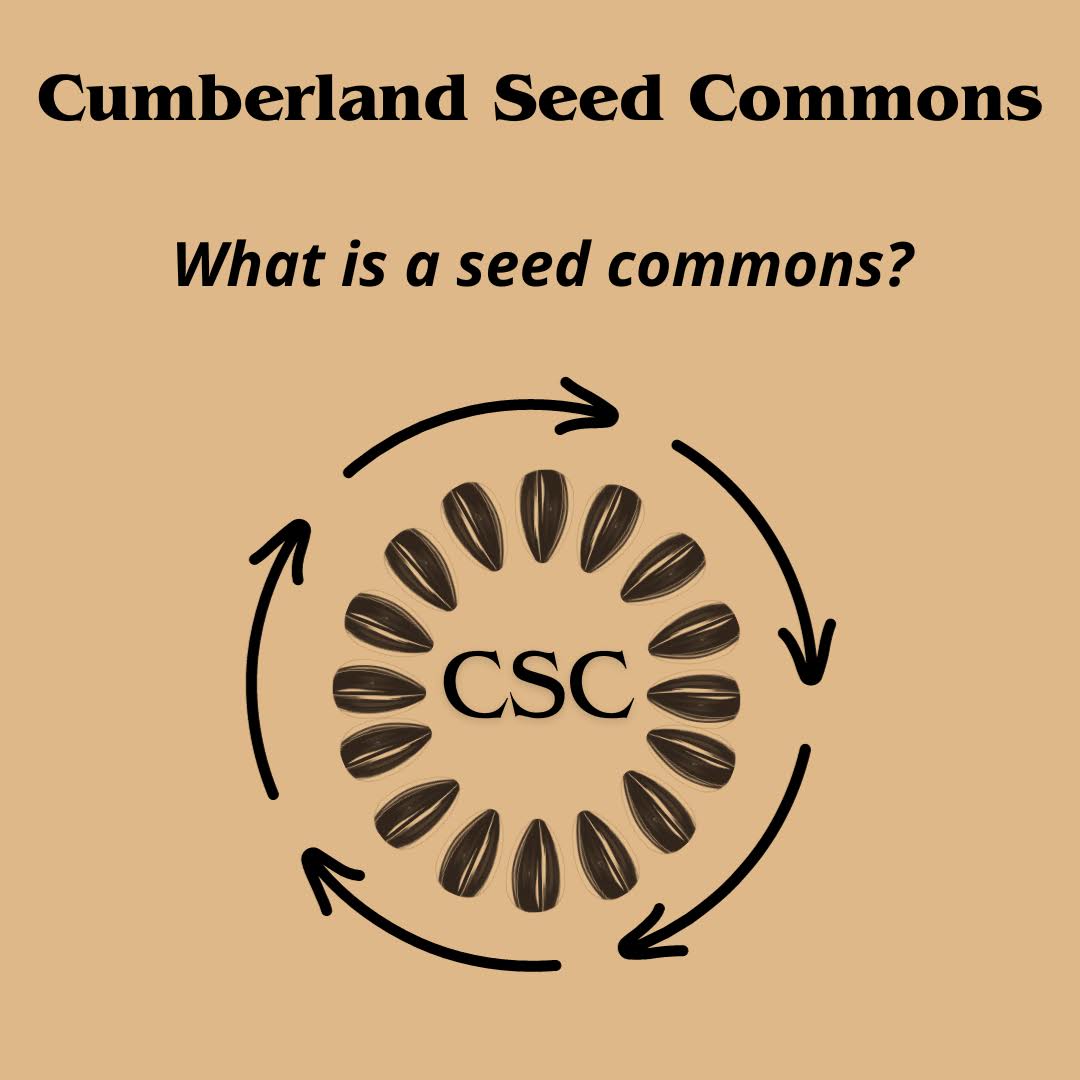 About CSC – Cumberland Seed Commons